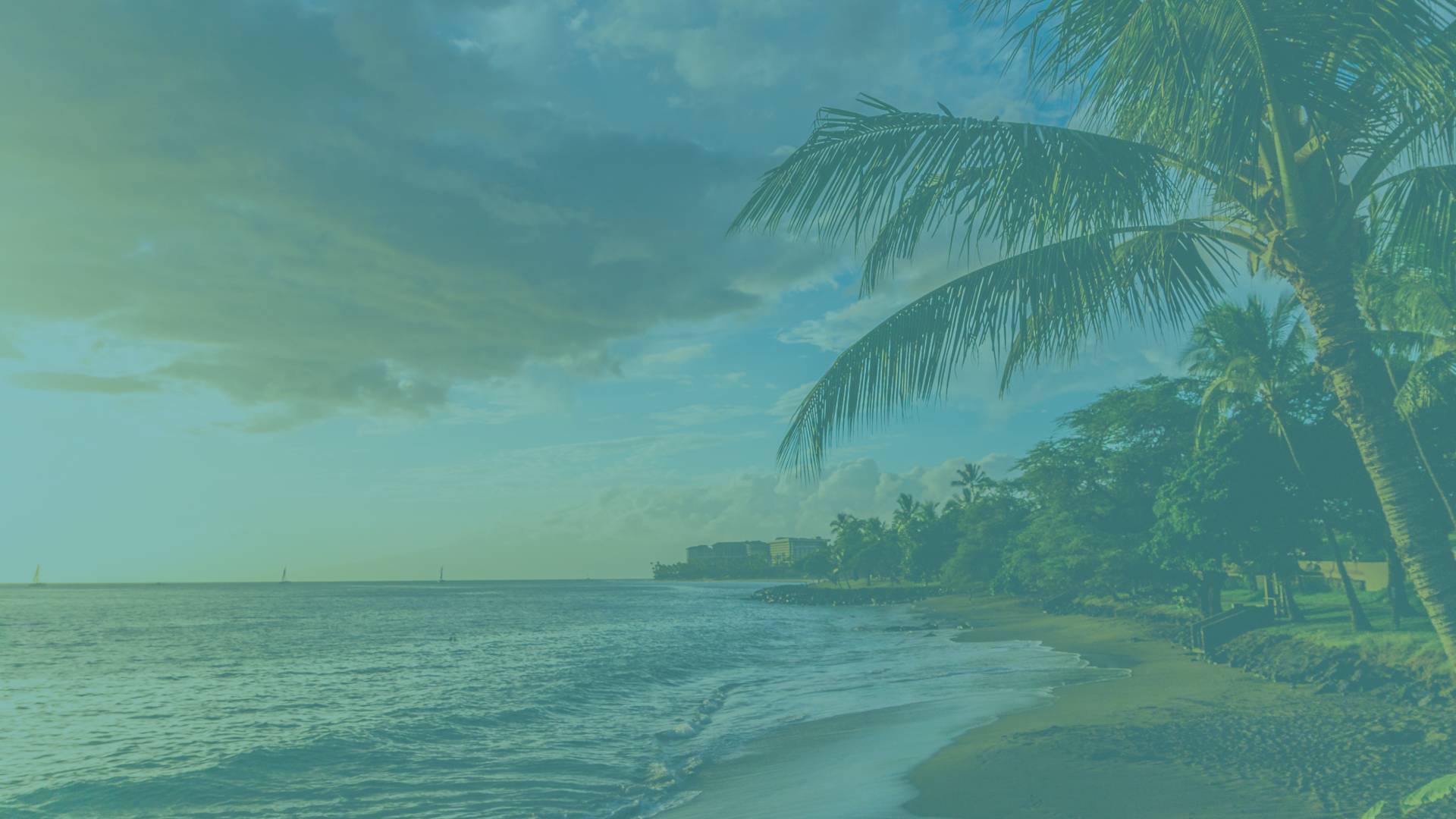 Bankruptcy Attorneys in Maui - Blake Goodman, P.C.